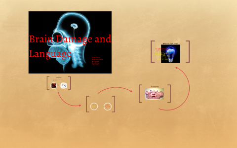 Brain Damage and Language by on Prezi