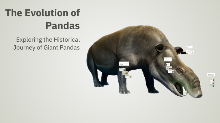 The Evolution of Pandas by Ryan Tran on Prezi