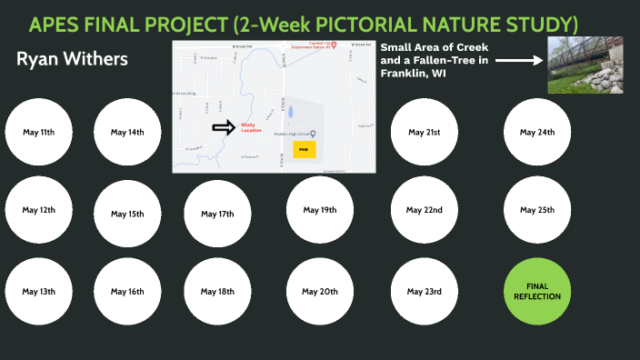 APES FINAL PROJECT (PICTORAL NATURE STUDY) by Ryan Withers on Prezi