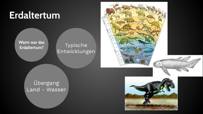 Erdaltertum by Cellina Herter on Prezi