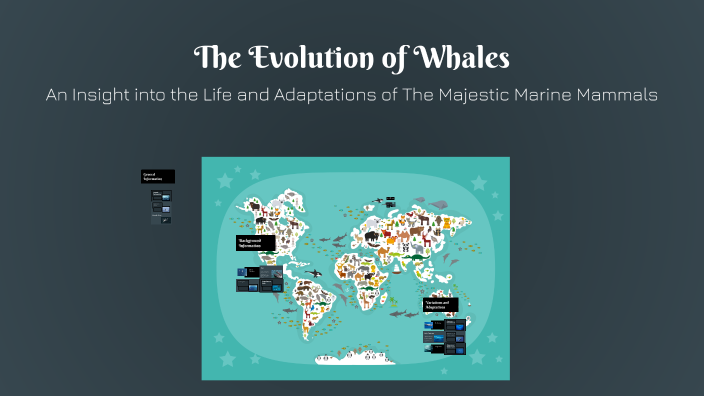 The Evolution of Whales by M E on Prezi
