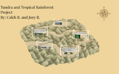Tundra and Tropical Rainforest Project by Joey Rees on Prezi