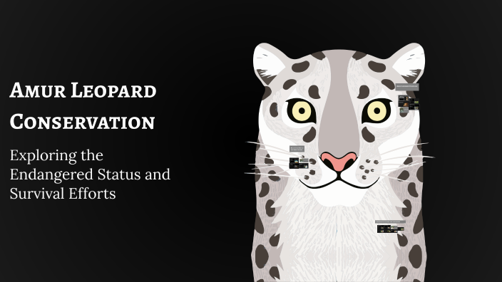 Ngoc Vo - Module Nine Lesson Three Assignment One Part One by Ngoc Vo on Prezi