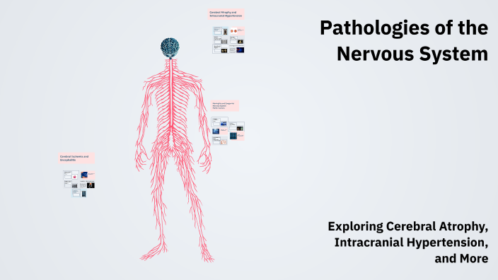 Pathologies of the Nervous System by Monika Kinolli on Prezi