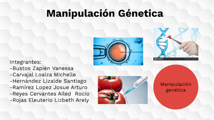 Manipulación Genética by Rocío Reyes on Prezi