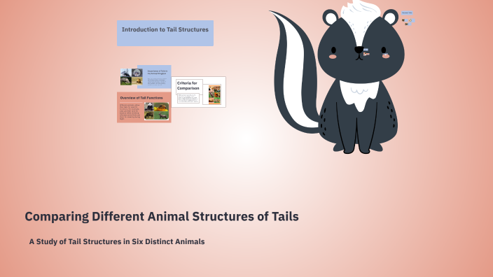 Comparing Different Animal Structures of Tails by Molly Breen on Prezi