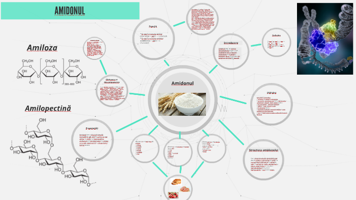Amidonul by Ciuhlau Dora on Prezi