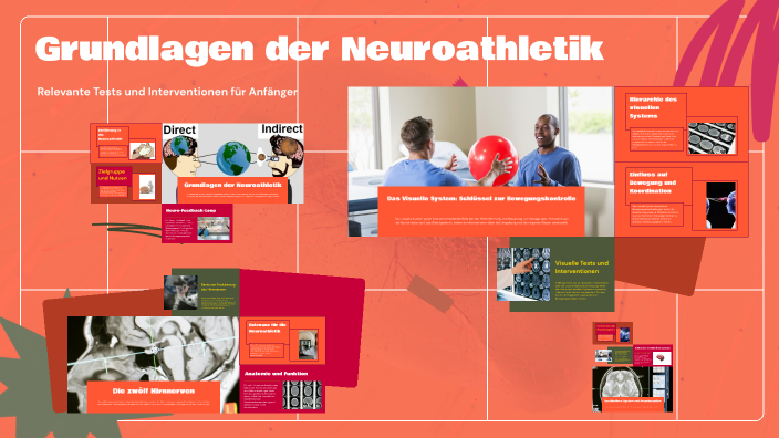 Grundlagen der Neuroathletik by Markus Pabst on Prezi