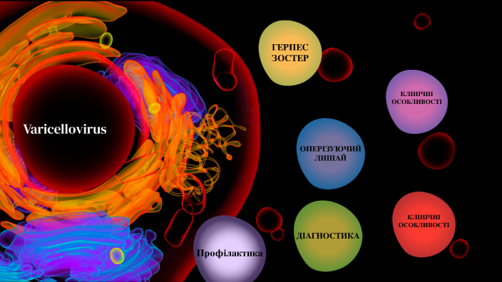 Varicellovirus by Анна Довгань on Prezi