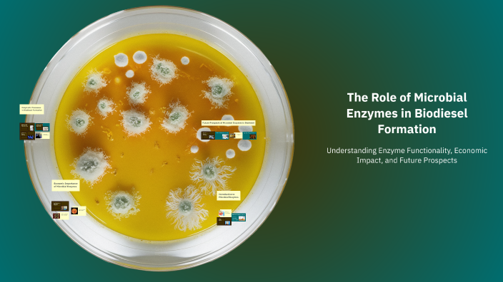 Biodiesel Formation: Microbial Enzymes and Processes by Mohamed Ibrahim ...