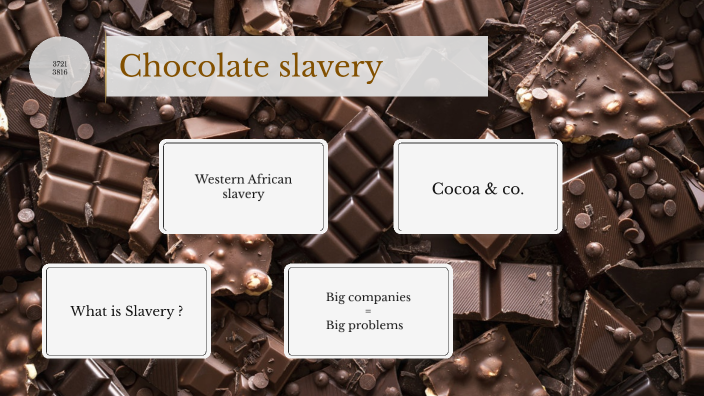 chocolate slavery by jimena gonzalez on Prezi