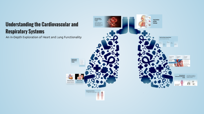 Understanding the Cardiovascular and Respiratory Systems by DOMONIQUE ...