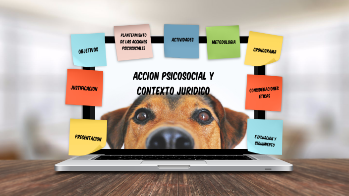 ACCION PSICOSOCIAL Y CONTEXTO JURIDICO by Wilson Poveda on Prezi