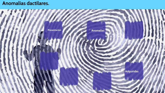 Anomalias dactilares. by judith quintero on Prezi