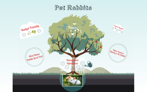 Benefits of Having a Pet Rabbit by on Prezi