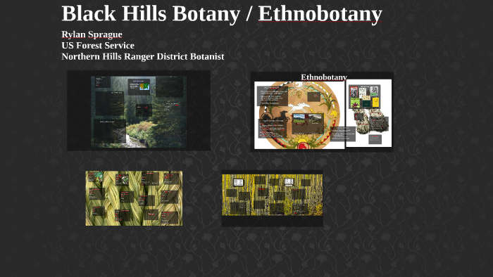 BHSU - Botany/Ethnobotany by Rylan Sprague on Prezi