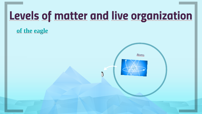 Levels of matter organization by Gabriela Fernandez on Prezi