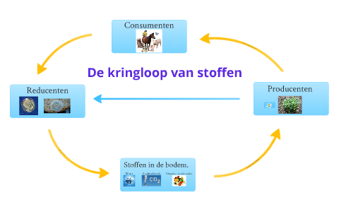 Module 9, bs 2 kringloop v stoffen by marijke vd putte on Prezi