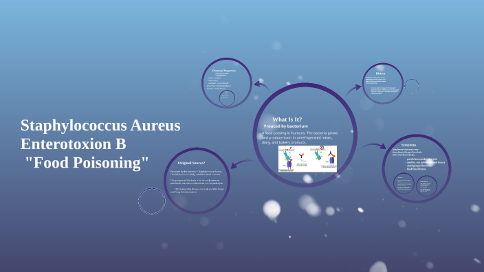 Staphylococcus Aureus Enterotoxin B By Kasha Mardigras On Prezi
