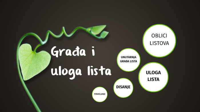 Građa i uloga lista by Martina Miloš on Prezi
