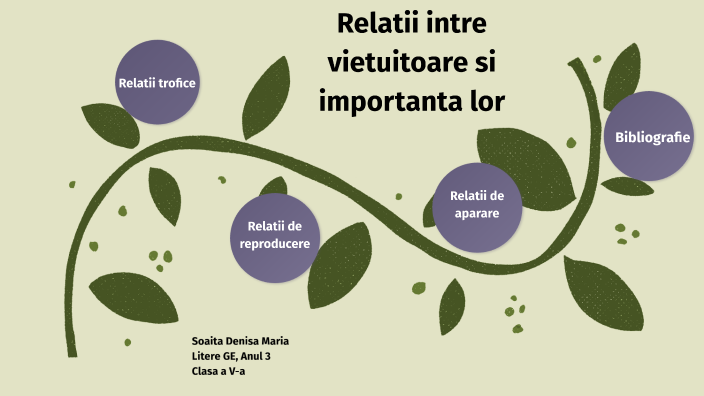 Proiect IAC by Denisa Soaita on Prezi