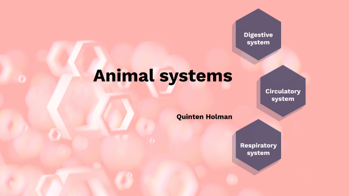 Quinten Holman - Animal systems unit mind map by Quinten Holman on Prezi