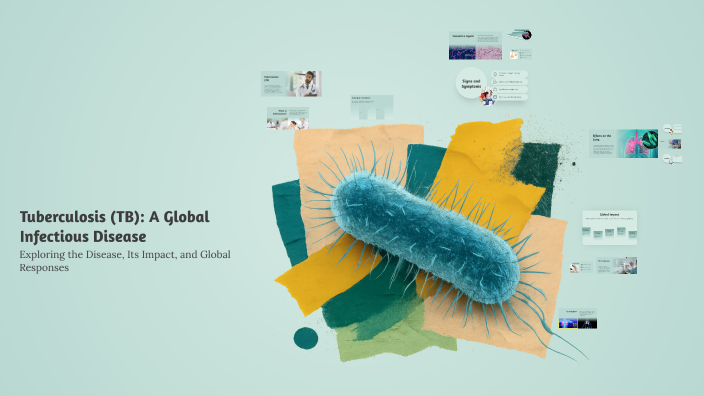 Tuberculosis (TB): A Global Infectious Disease by BISMA ZAHID on Prezi