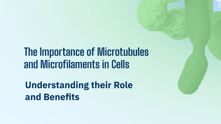 The Importance of Microtubules and Microfilaments in Cells by JARIR ...