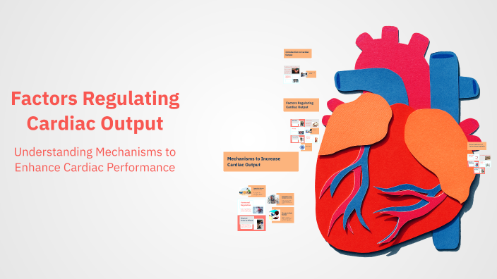 Factors Regulating Cardiac Output by morgan halsey on Prezi