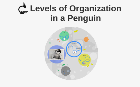 Levels of Organization in a Penguin by Aryan Thakur on Prezi