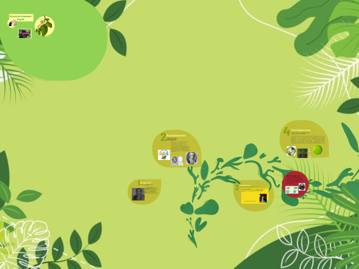 Historia de la Anatomia Vegetal. by Alejandra Vasques on Prezi