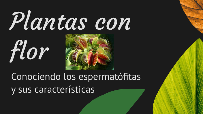 Plantas con flor by JOSE OCHOA OCHOA on Prezi