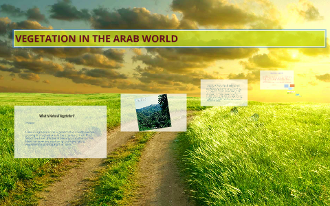 VEGETATION IN THE ARAB WORLD by Abeda Asif on Prezi