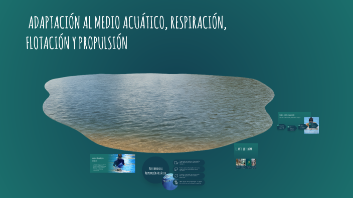 Dominio Acuático by Joel Montoya on Prezi