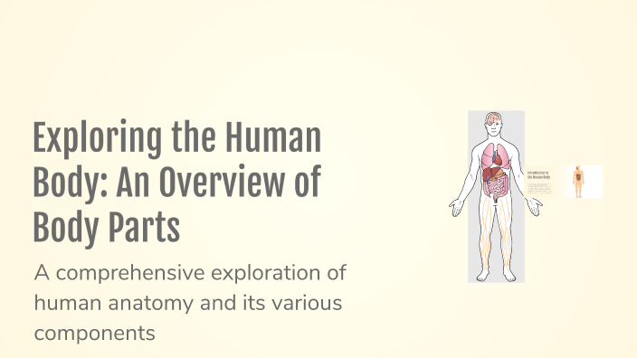 Exploring the Human Body: An Overview of Body Parts by Vinmathi Raj on ...