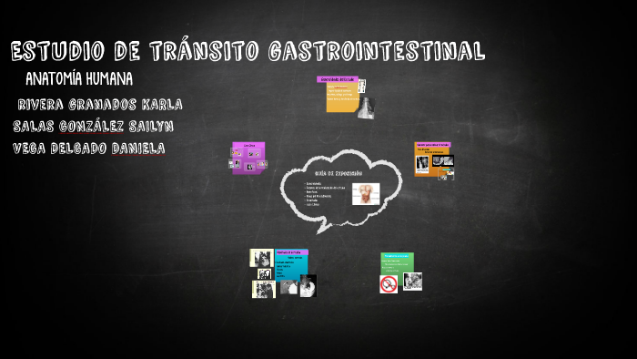 Estudio de tránsito gastrointestinal by sailyn salas on Prezi