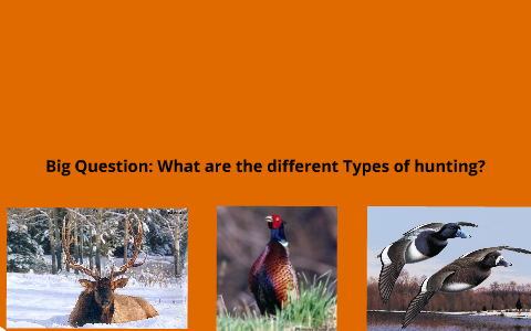 Different Types of Hunting by Hunter Libby on Prezi