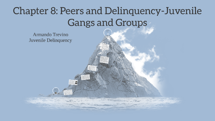 Chapter 8: Peers and Delinquency-Juvenile Gangs and groups by Armando ...