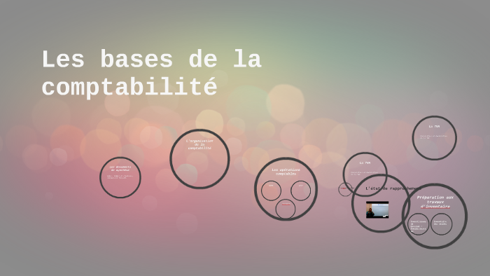 Les bases de la comptabilité by Marianne DAUBAGNA