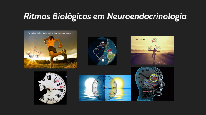 Ritmos Biológicos em Neuroendocrinologia by Leonardo Lucas on Prezi