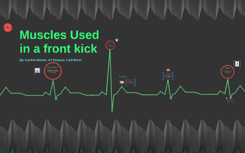 Muscles Used in a front kick by LeeAnn Downs on Prezi
