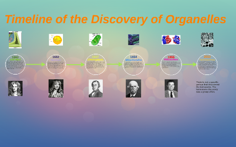 Timeline of the Discovery of Organelles by Michele Wright on Prezi