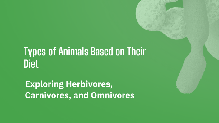 Types of Animals Based on Their Diet by Valentina Méndez on Prezi