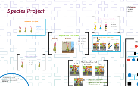 Single Allele Trait by Lilia Soares on Prezi