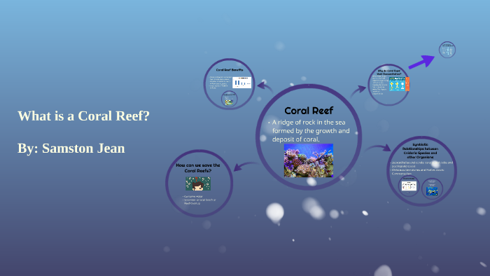 What is a Coral Reef? by Jessica Tuazon