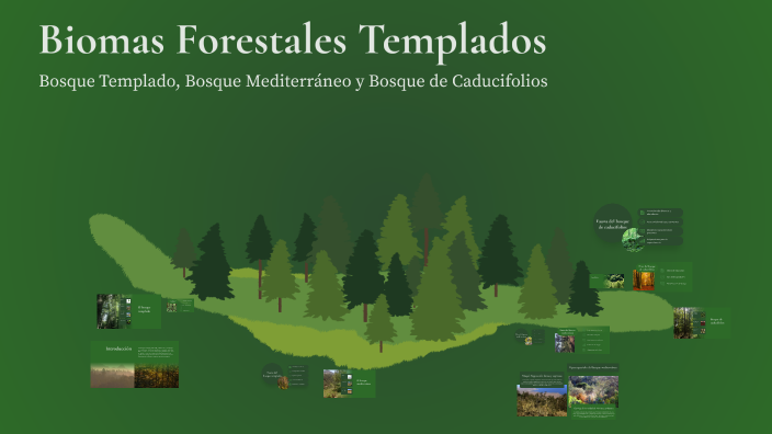 Biomas Forestales Templados by Alan antonio Venegas carrillo on Prezi
