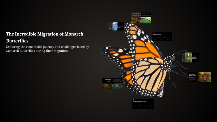 The Incredible Migration of Monarch Butterflies by Nicolas Emmanuel ...
