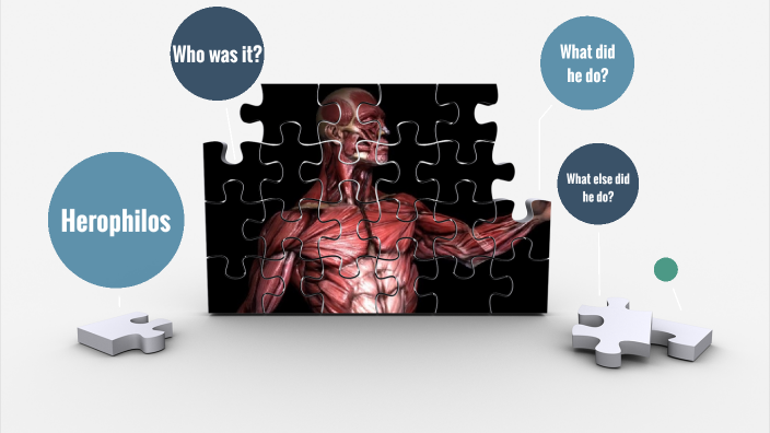 Herofilo de Calcedonia by Sergio Armas G on Prezi
