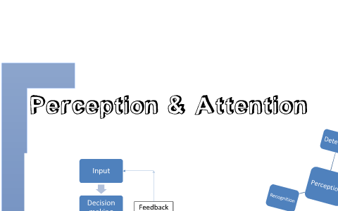 Perception, Attention, Decision making, Memory process by Mark ...