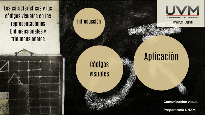 Las características y los códigos visuales en las representaciones ...